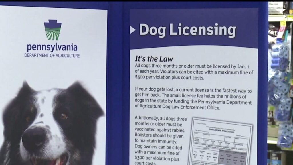 2024 Dog Licenses Are Now Due | Nether Providence Township